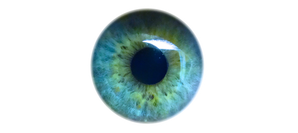 El reflejo fotomotor, ¿qué es y cuál es su función? | Clinica Quijada